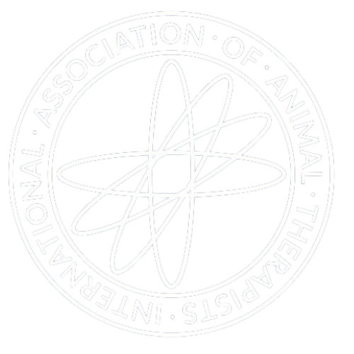 Canine Hip Dysplasia