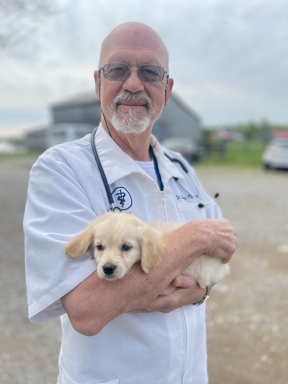 About - GoldenQuest Comfort Retrievers®