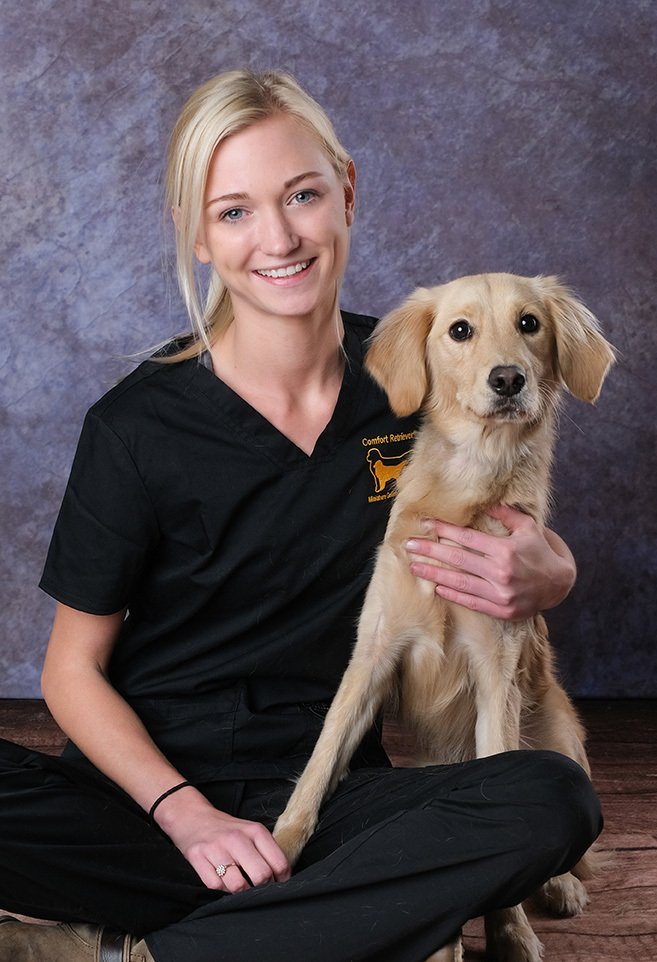 Miniature Golden Retrievers | GoldenQuest Comfort Retrievers®