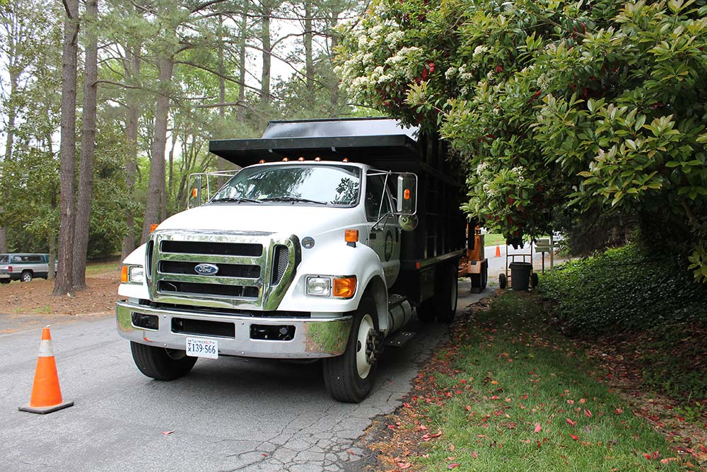 Tree Removal by Bowler's Tree Service Richmond VA