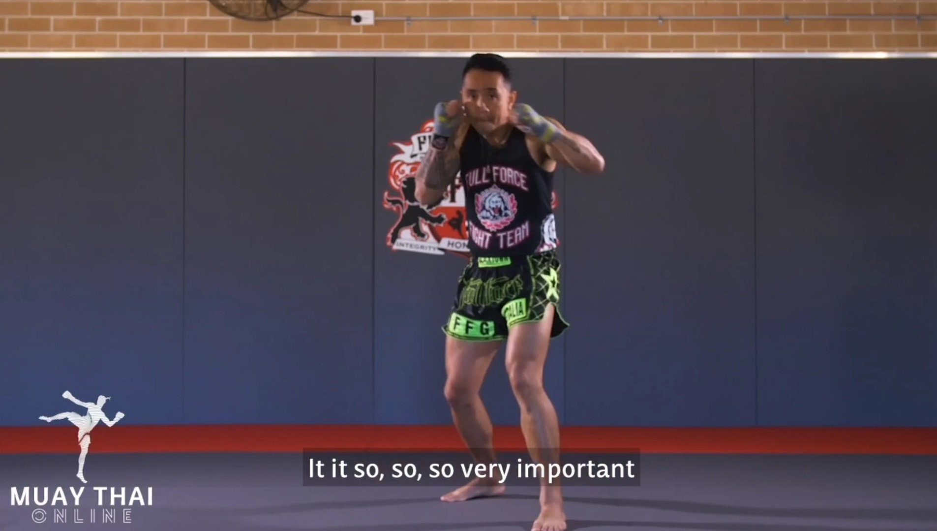 Check out the Masters of Martial Arts - Reinhardt Badato