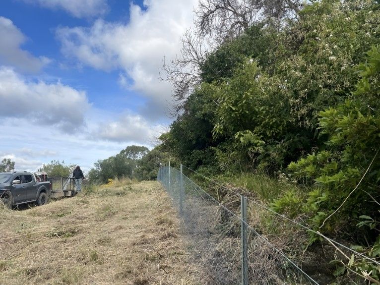 Fencing Taree | Barrington Coast Contracting