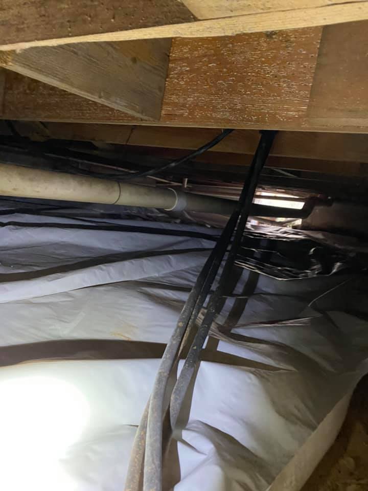 Crawl Space Pest Cleaning | Express Pest Services