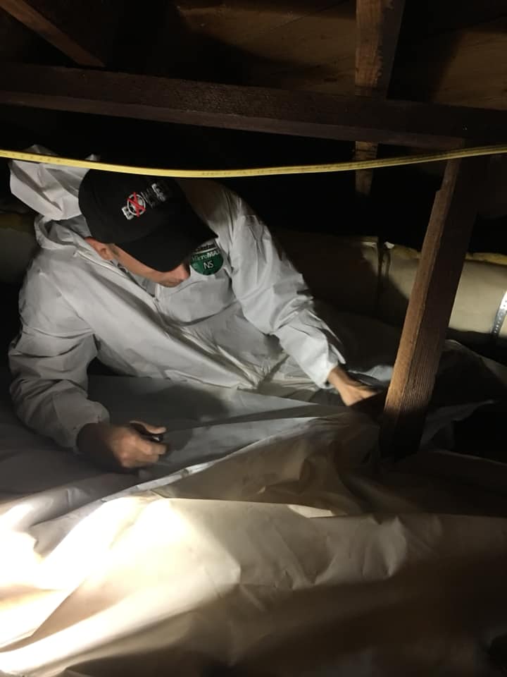 Crawl Space Pest Cleaning | Express Pest Services