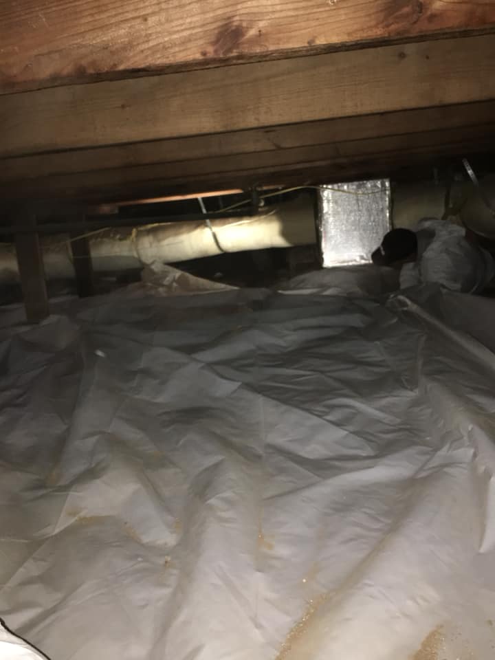 Crawl Space Pest Cleaning | Express Pest Services