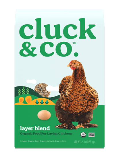 cluck & co. - Organic Food for Chickens