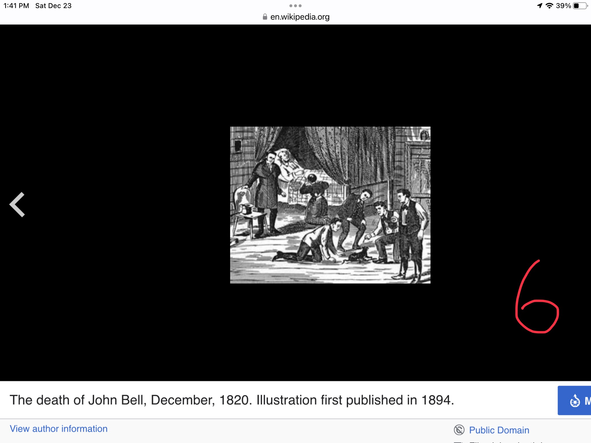 Cursed by the Bell Witch