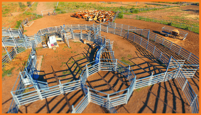 Durable and Reliable Livestock Fencing for Your Canberra Farm
