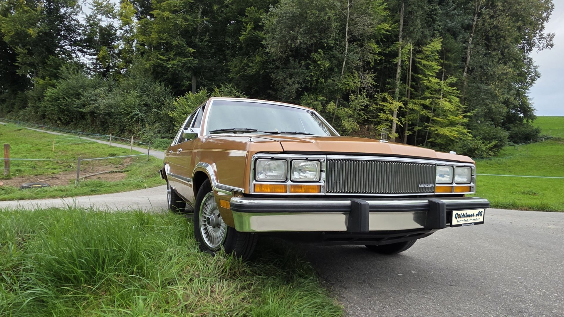 Ford Mercury Zephyr V8 4.2