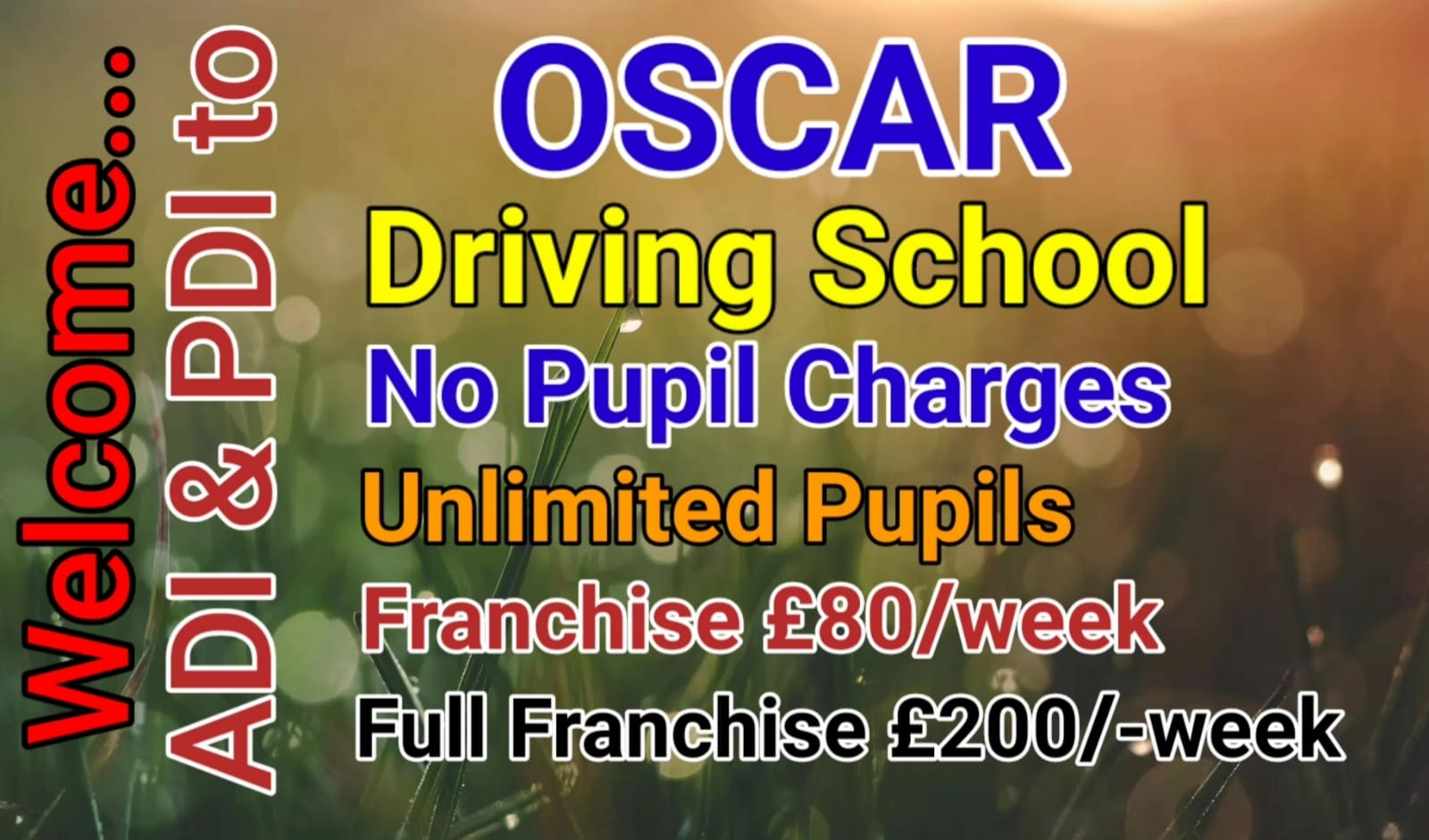 Driving Schools | Oscar Driving School
