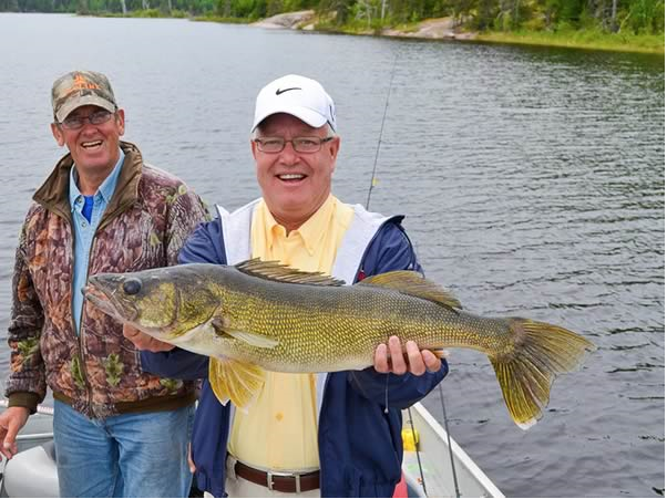 Walleye Fishing in Canada: Most Important Facts and Information