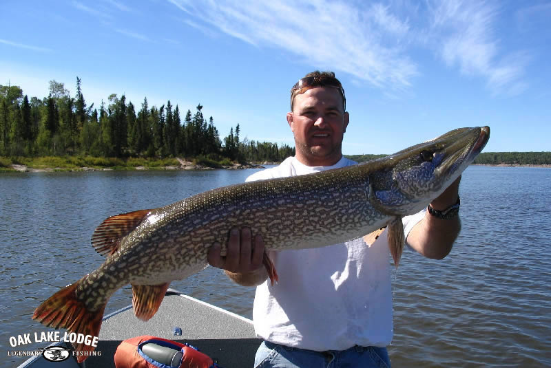 Fishing Photo Gallery | Oak Lake Lodge & Outpost
