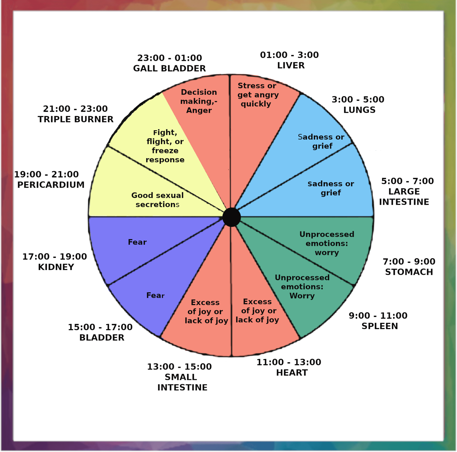 Our biological clock in traditional Chinese medicine