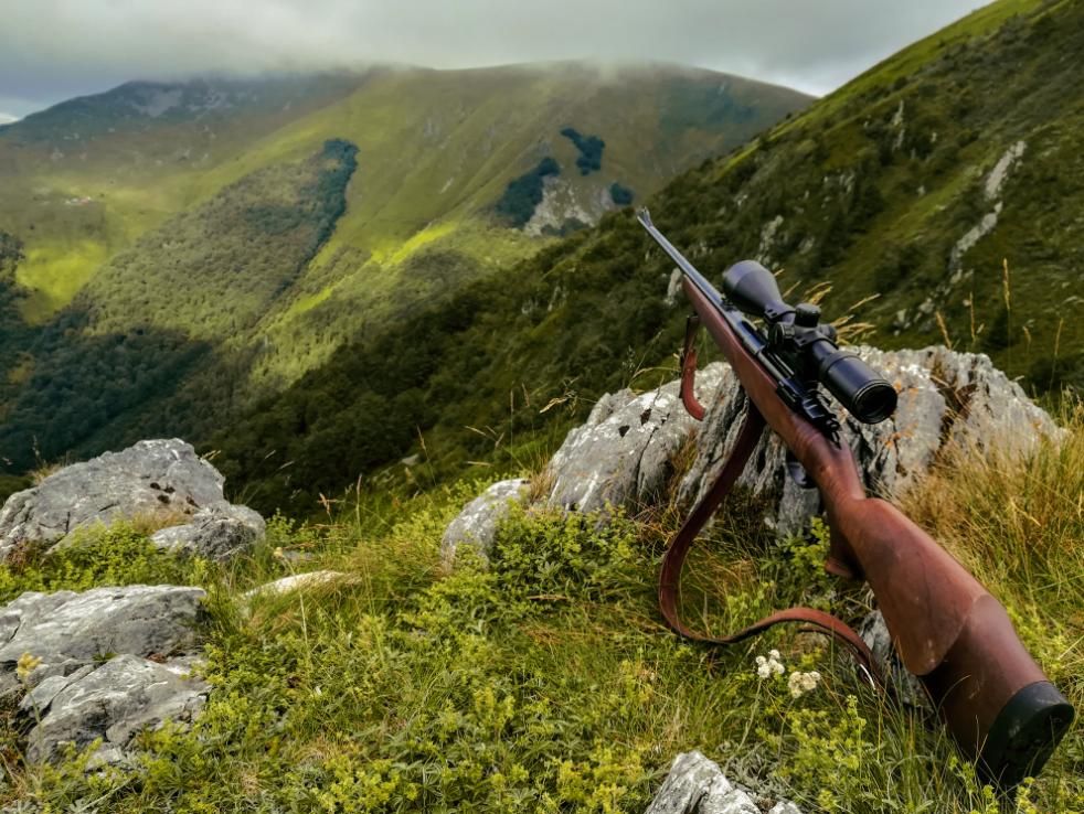 Firearms Kempsey | Coffs Coast Firearms