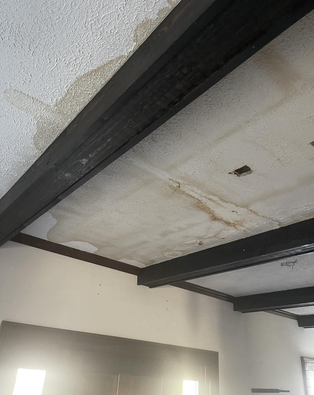 Restore Water Damage & Clean | Circleville, OH