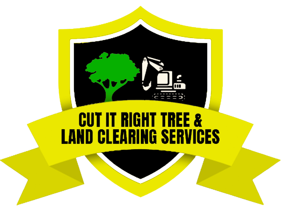 Tree Services | Cut it Right Tree & Land Clearing
