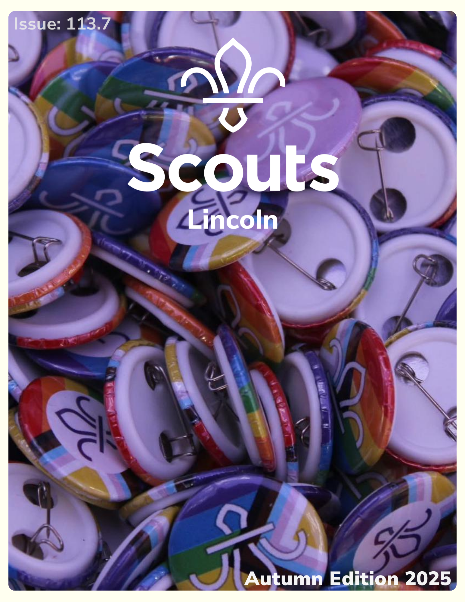 Lincoln District Scouts