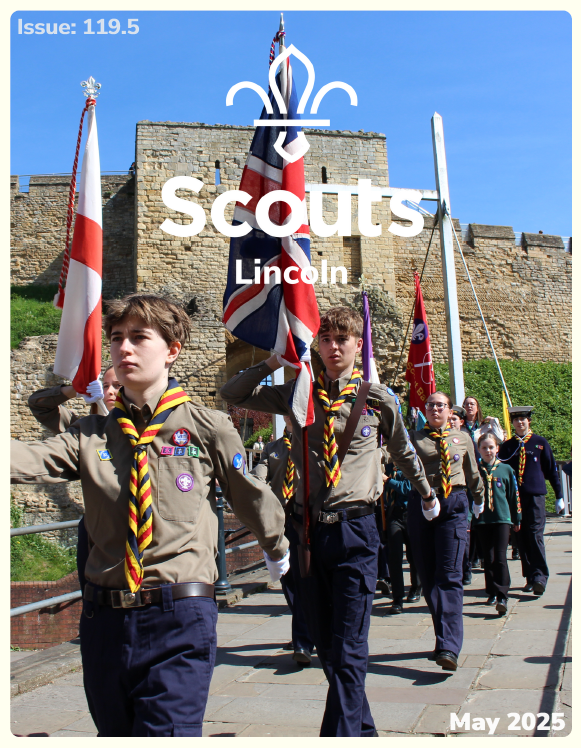Lincoln District Scouts
