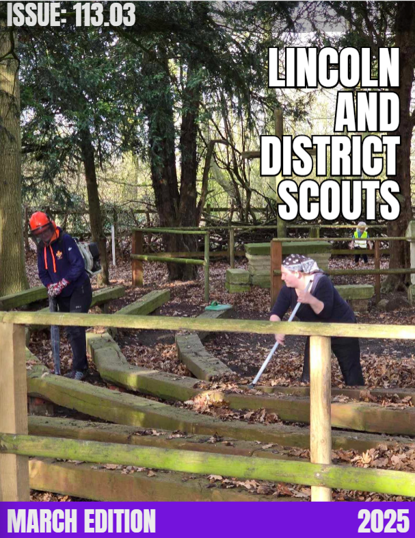 Lincoln District Scouts