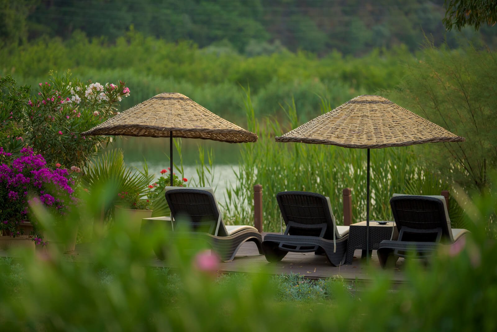 Dalyan Resort Hotel | Gallery