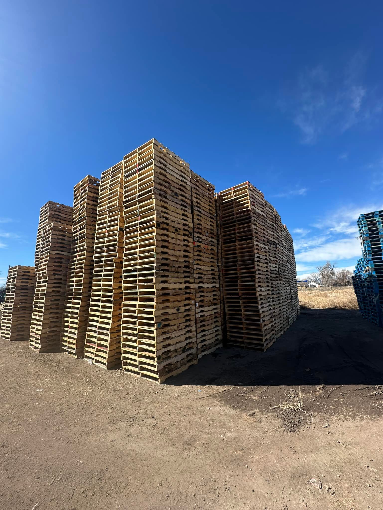 Home | Rodeo Pallets Services | Denver, CO