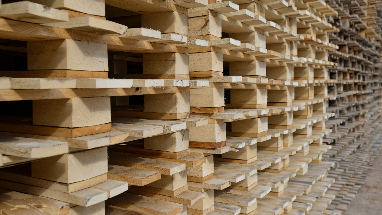 Home | Rodeo Pallets Services | Denver, CO