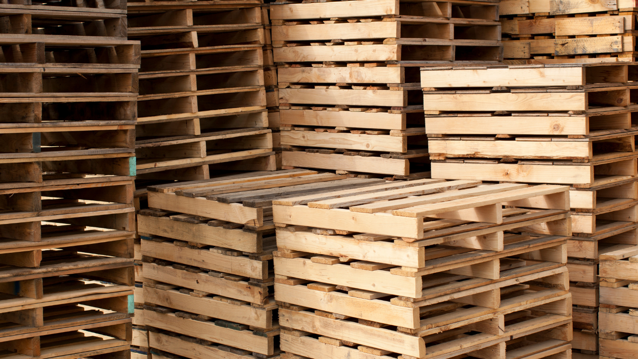 Home | Rodeo Pallets Services | Denver, CO