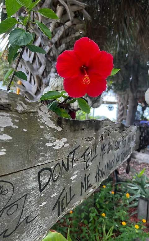 RV Campground | Low Key Hideaway Cedar Key, FL