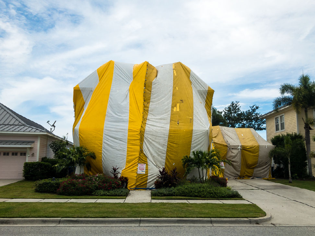 Termite Control | Pacific Coast Pest Solutions