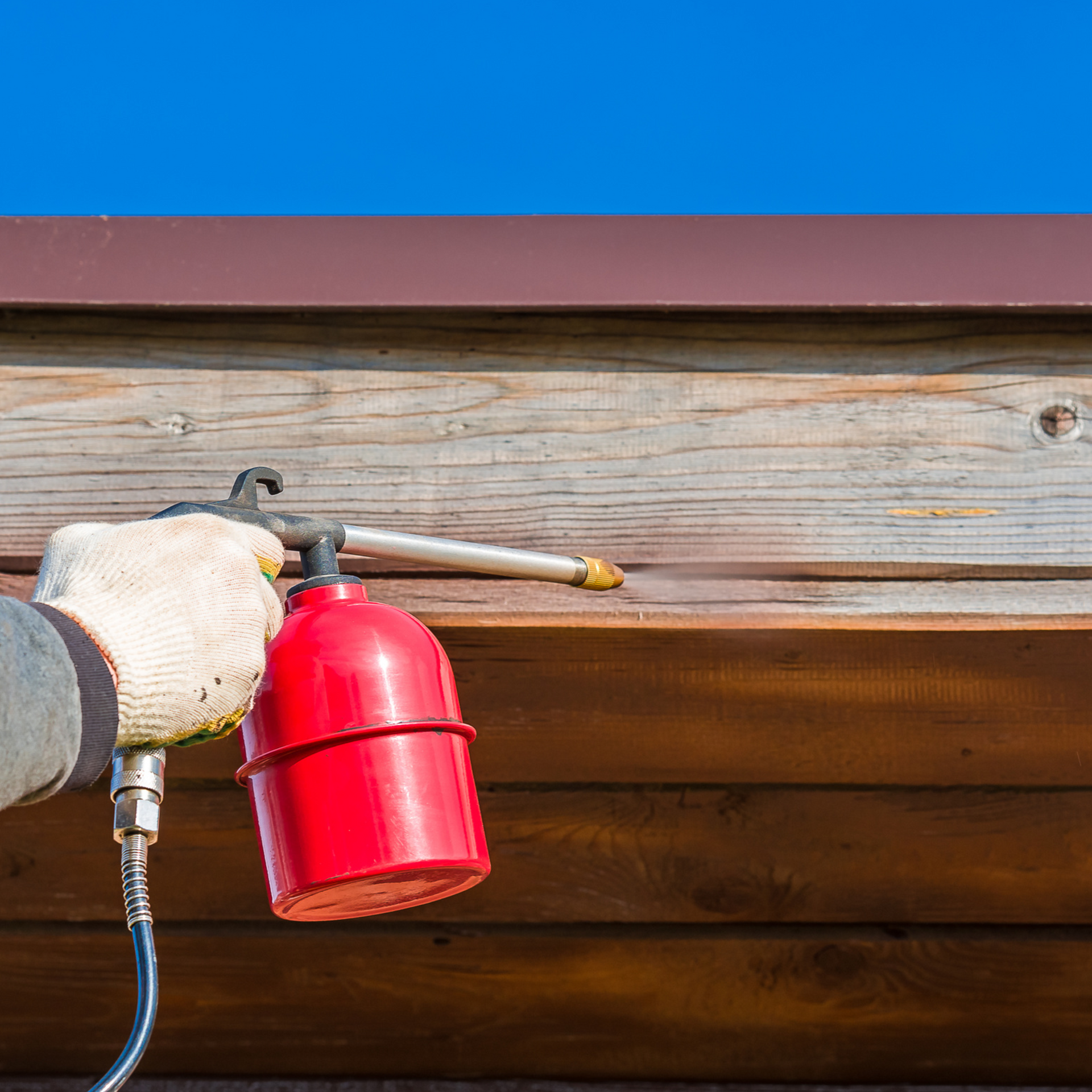 Termite Control | Pacific Coast Pest Solutions