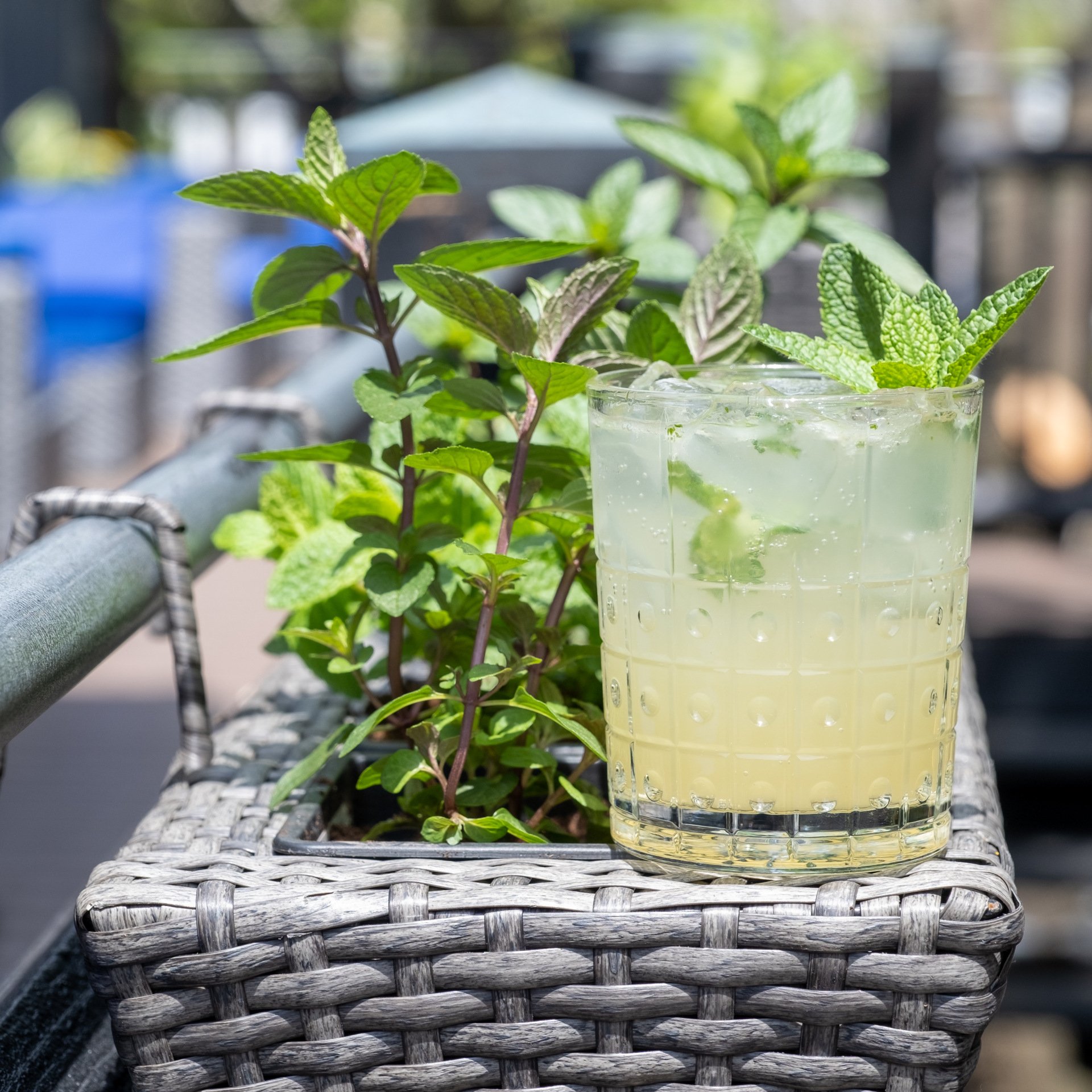 Baja Craft Kitchen - Gallery