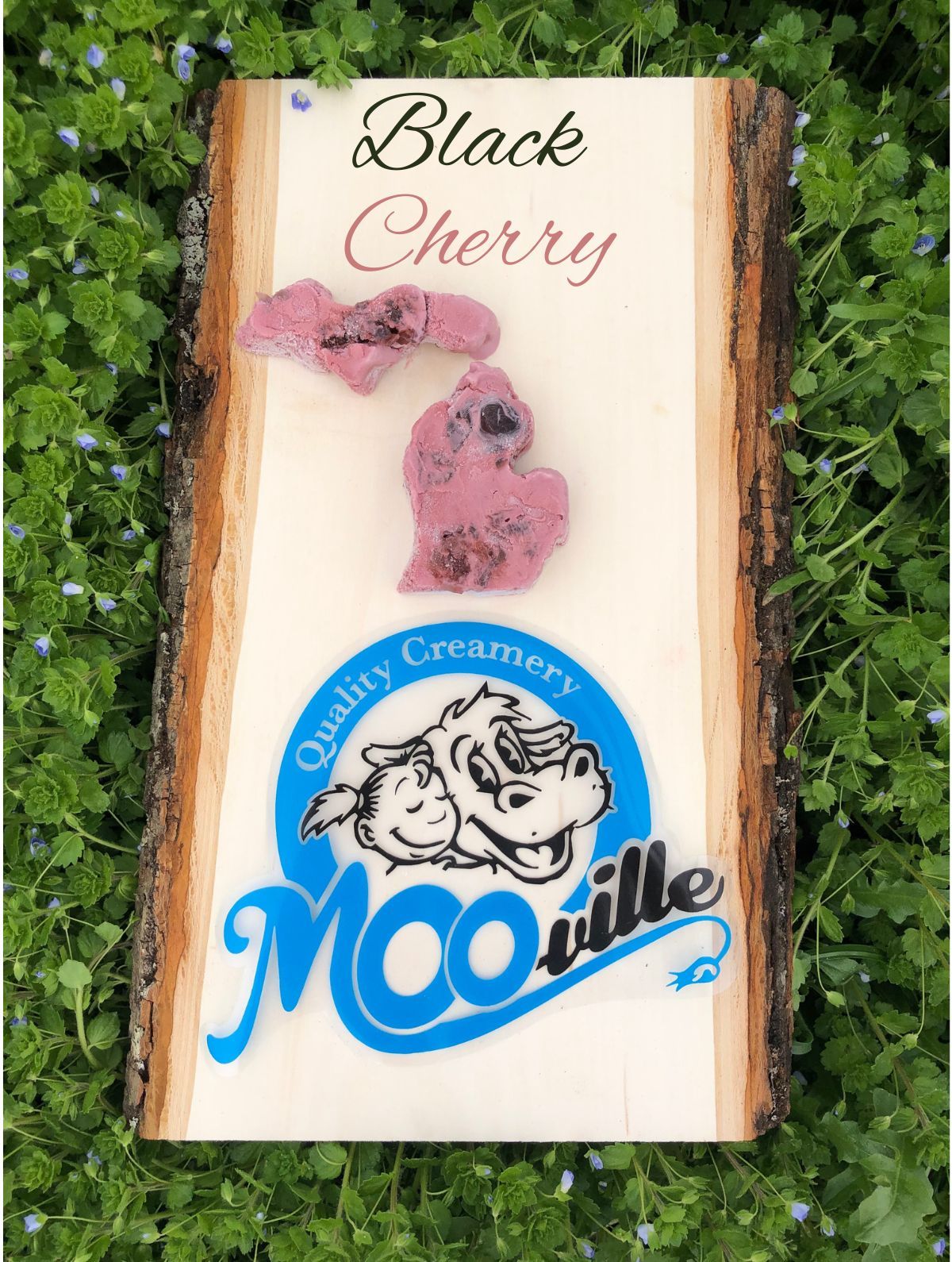 MOO-ville Creamery | Products