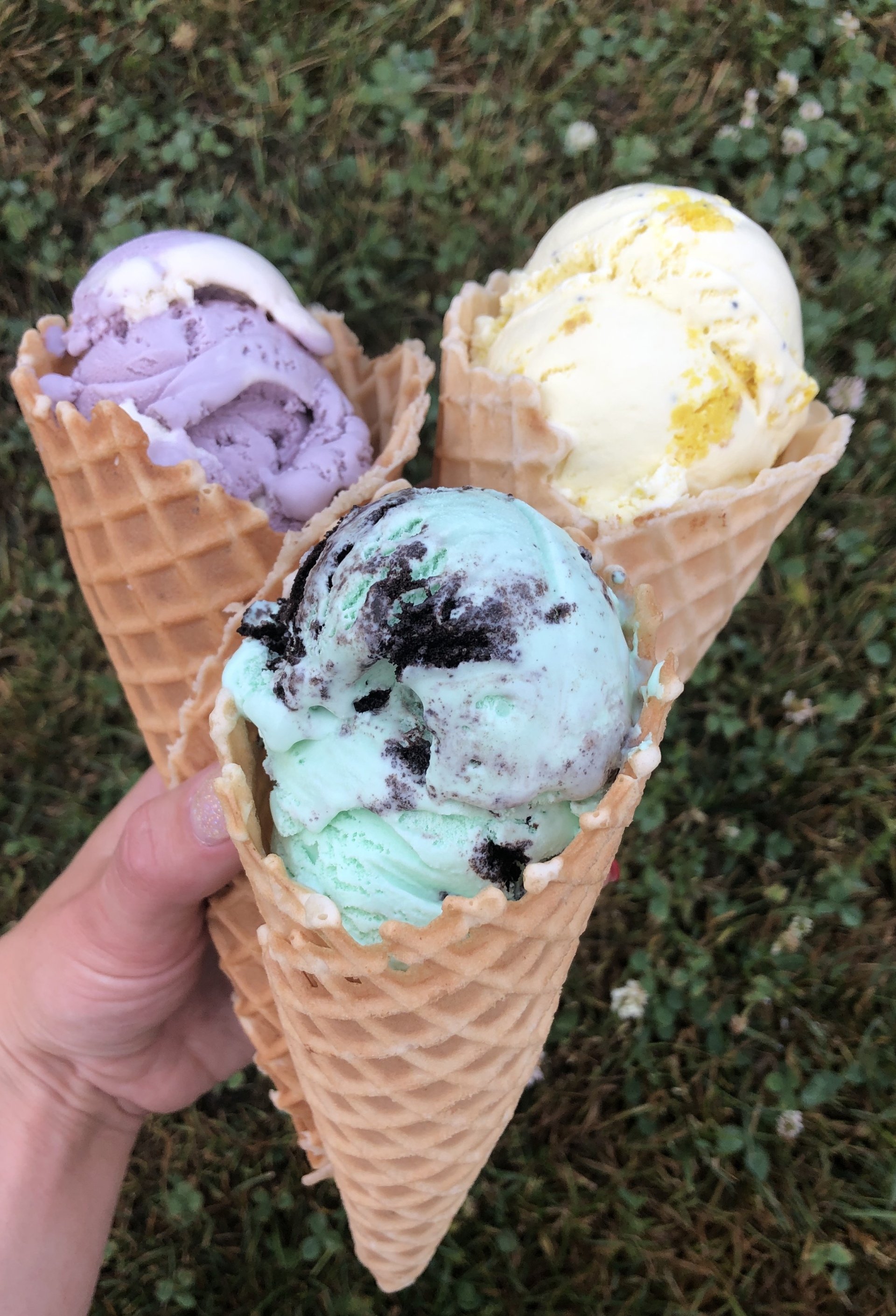 MOO-ville Creamery | Ice Cream | Milk & Dairy Products