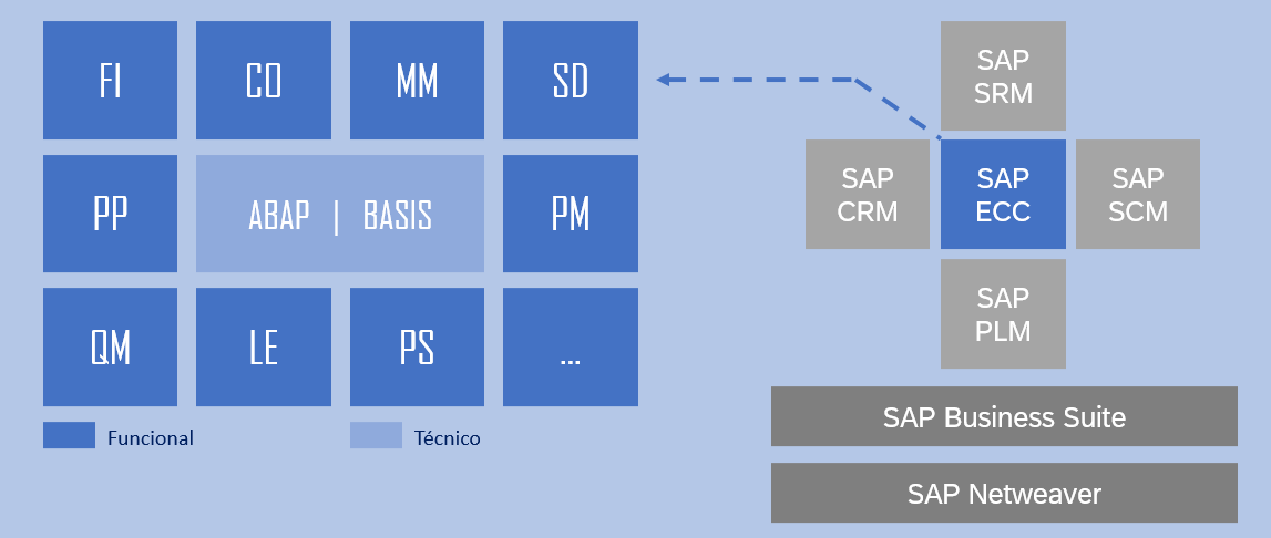 Os componentes do SAP ECC e a Line of Business