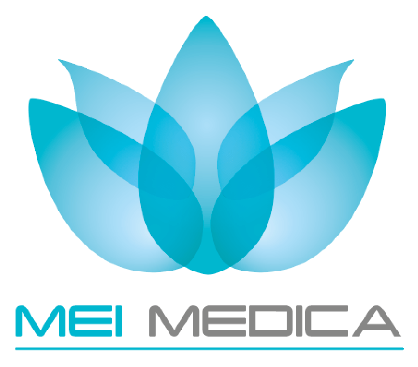 HOME [www.meimedica.com]