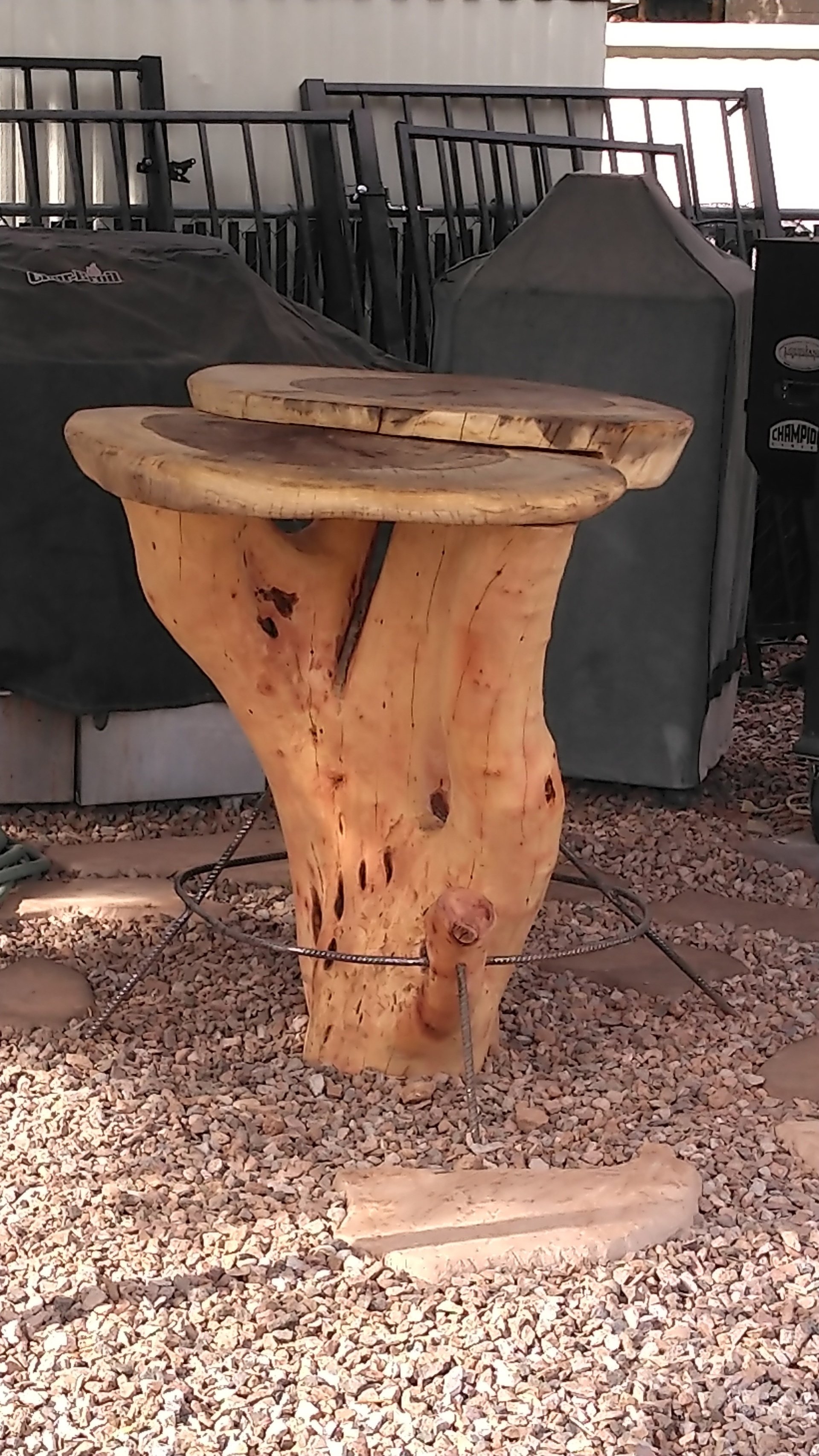 Top Rated Stump Carving Company in Mesa, Arizona