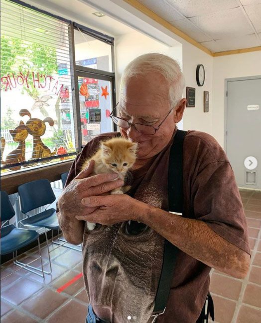 Local Events – Delta Human Society & SPCA