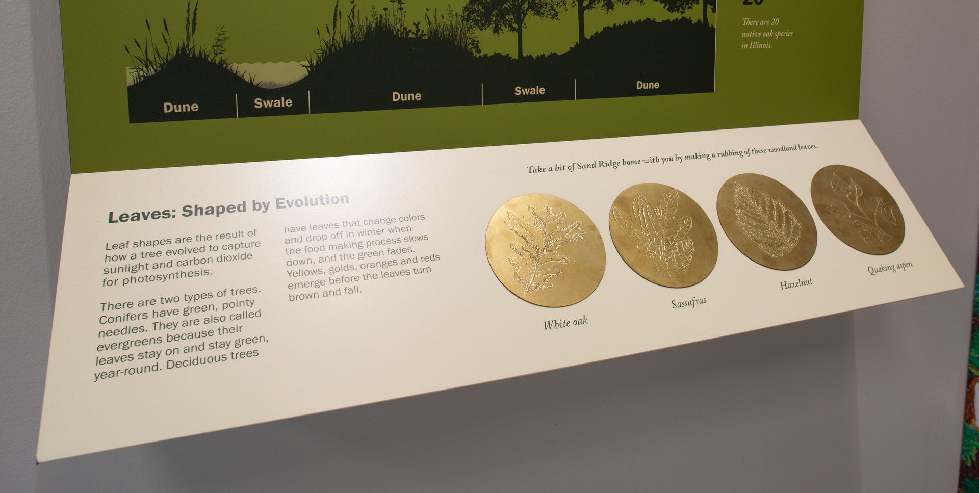 Sand Ridge Nature Center Exhibit | Illinois