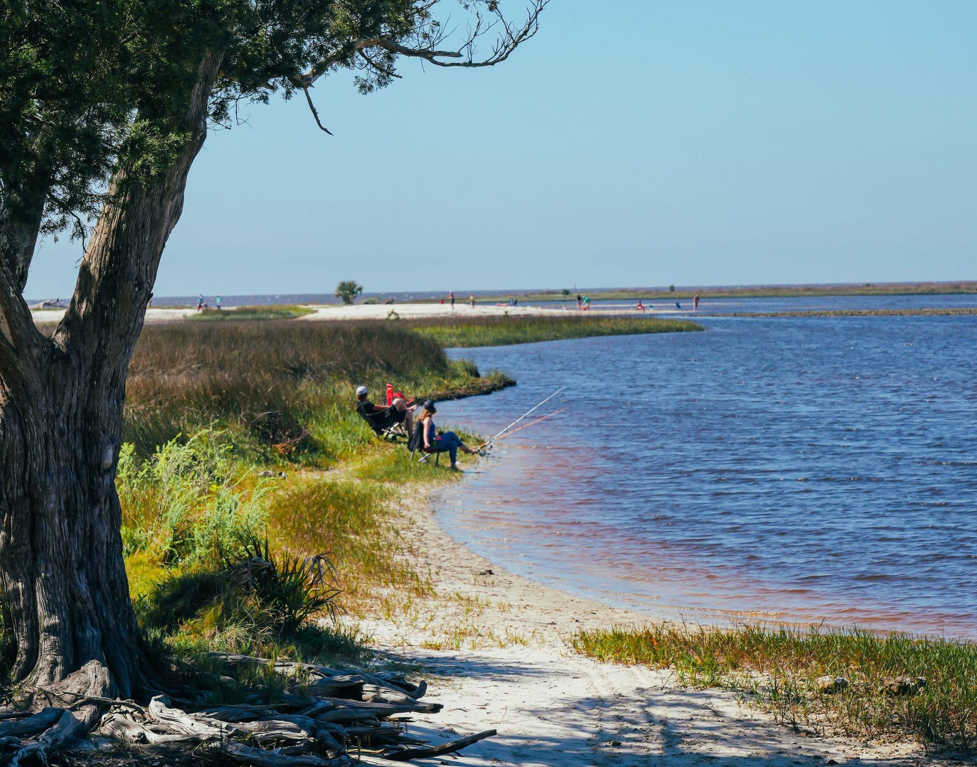 Scenic Stops Along Highway 19/98: A Traveler’s Guide