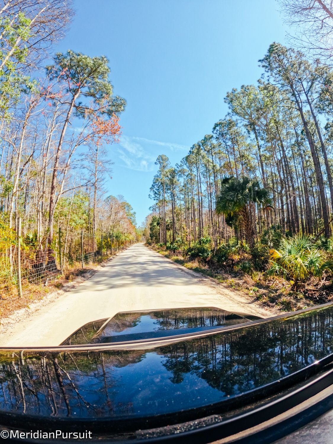 Dining Options in Dixie County | Visit Dixie