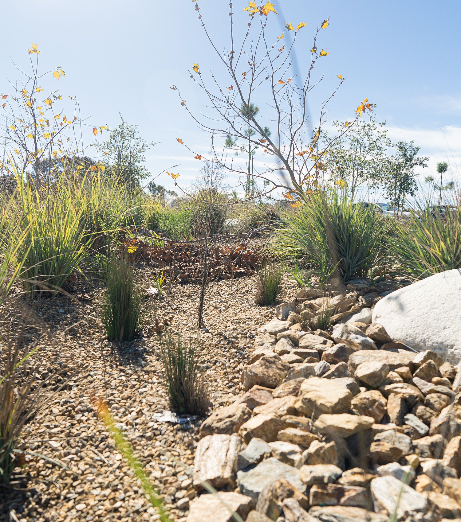 Project Gallery | Coast Landscaping Inc.