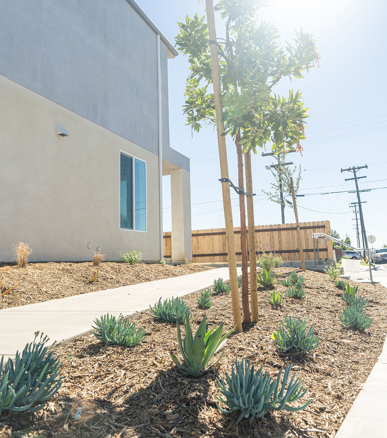Coast Landscaping Inc. | Commercial Landscape Services