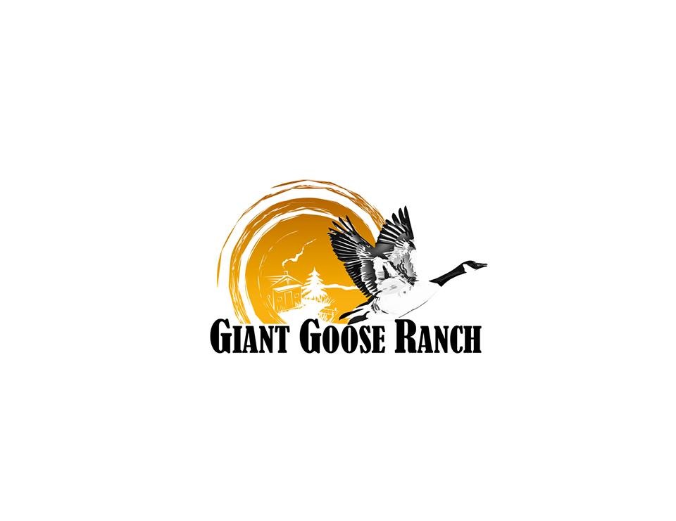 Camping Facilities | Illinois Campground Association