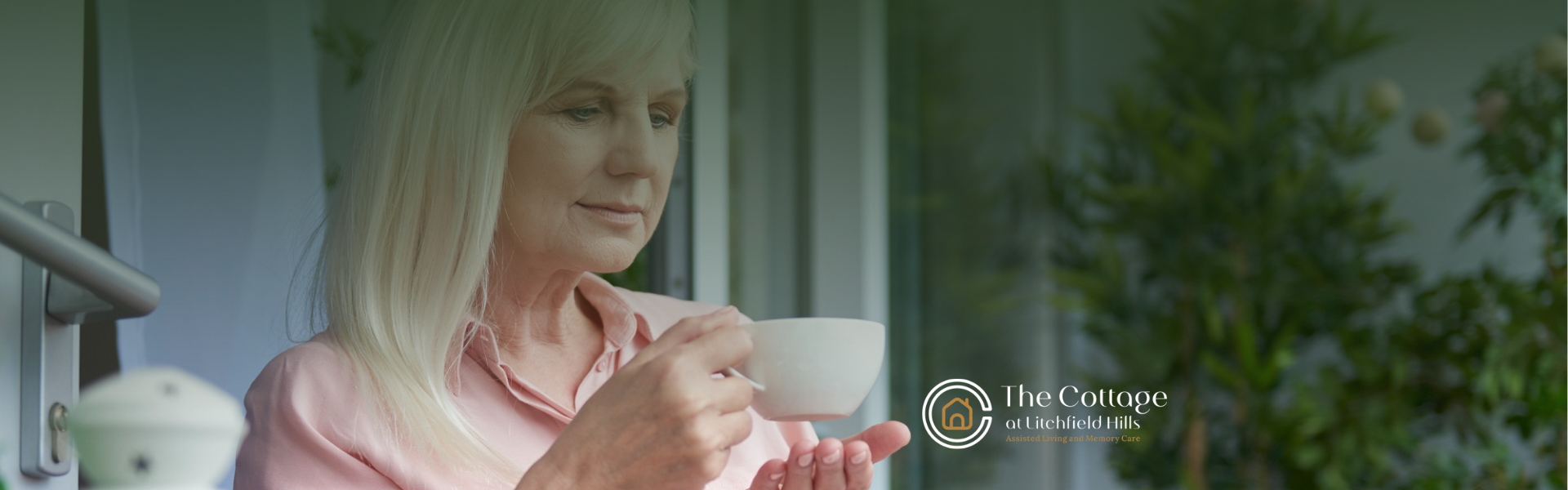 How Does Aging Affect the Immune System? | The Cottage