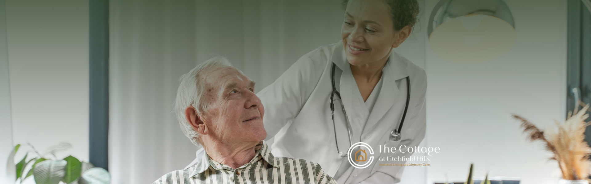 What Are Common Requested Services for the Elderly People?