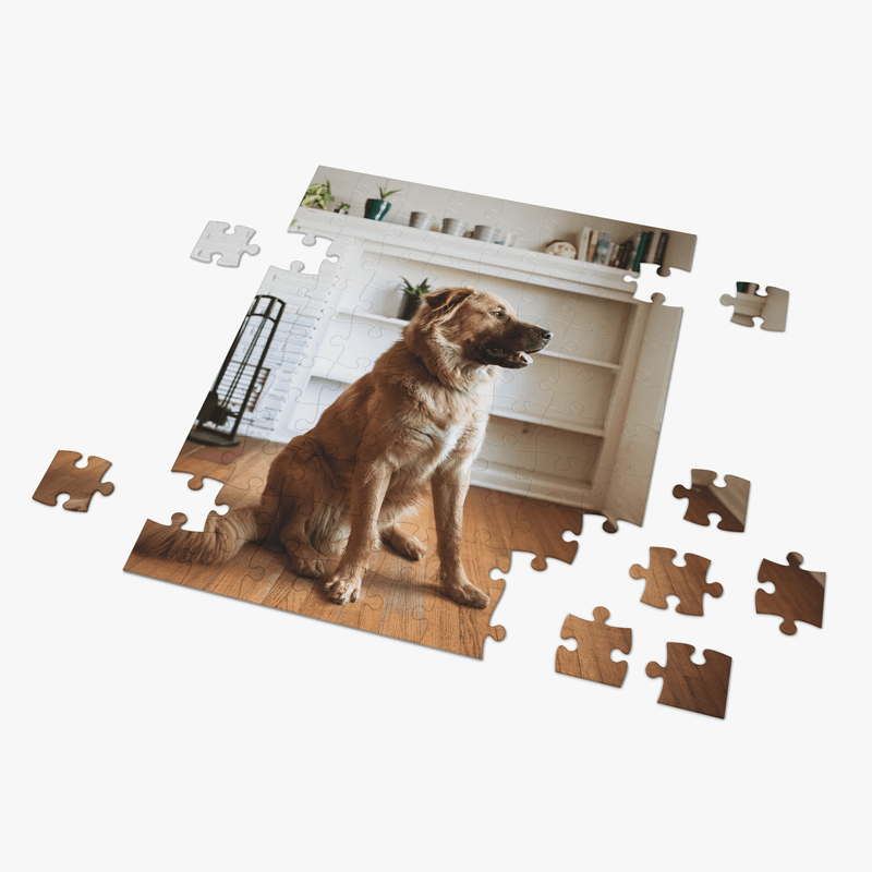 Casse-têtes | Lord Photo