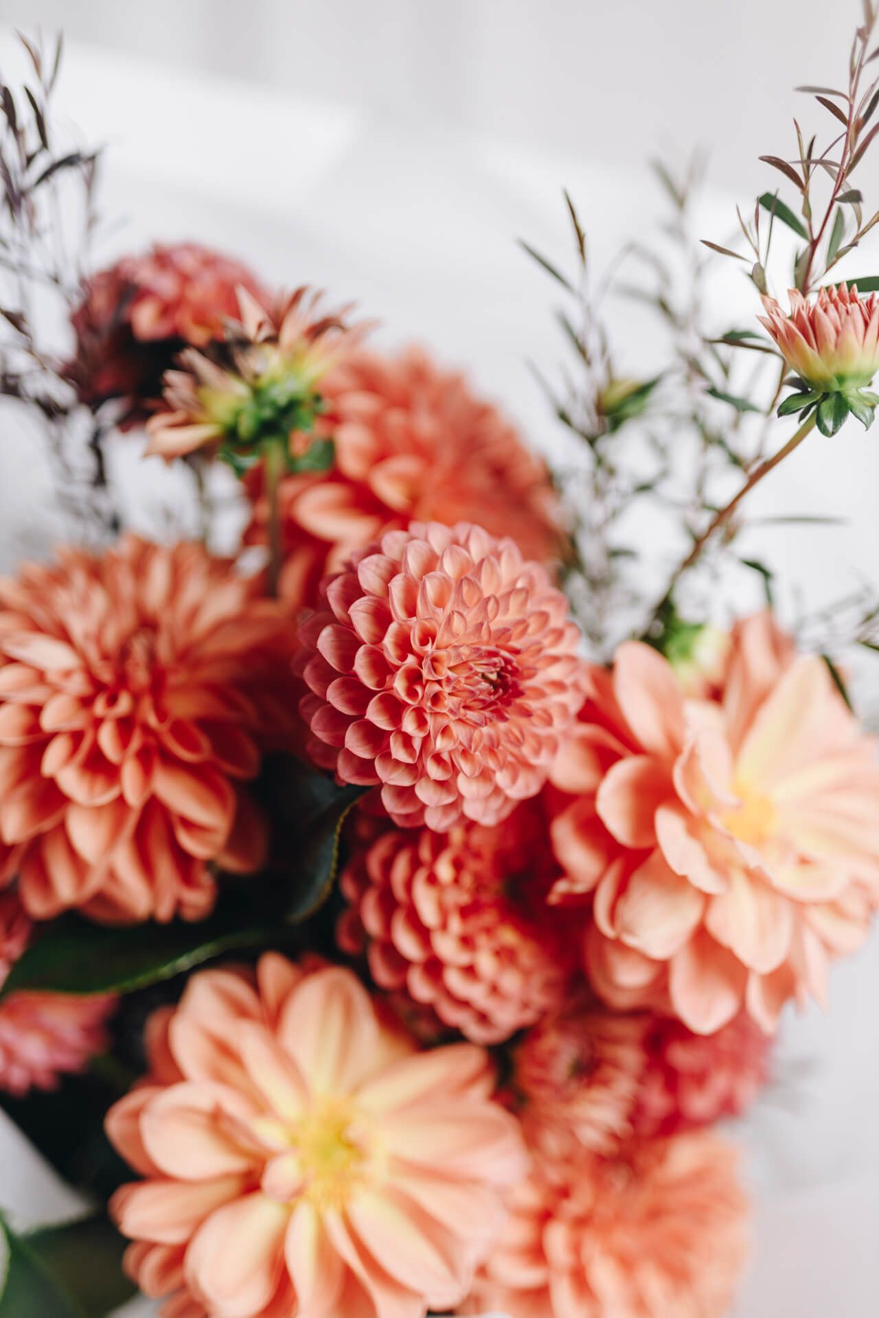 Florist in Wollongong | Ruby Oak Floristry