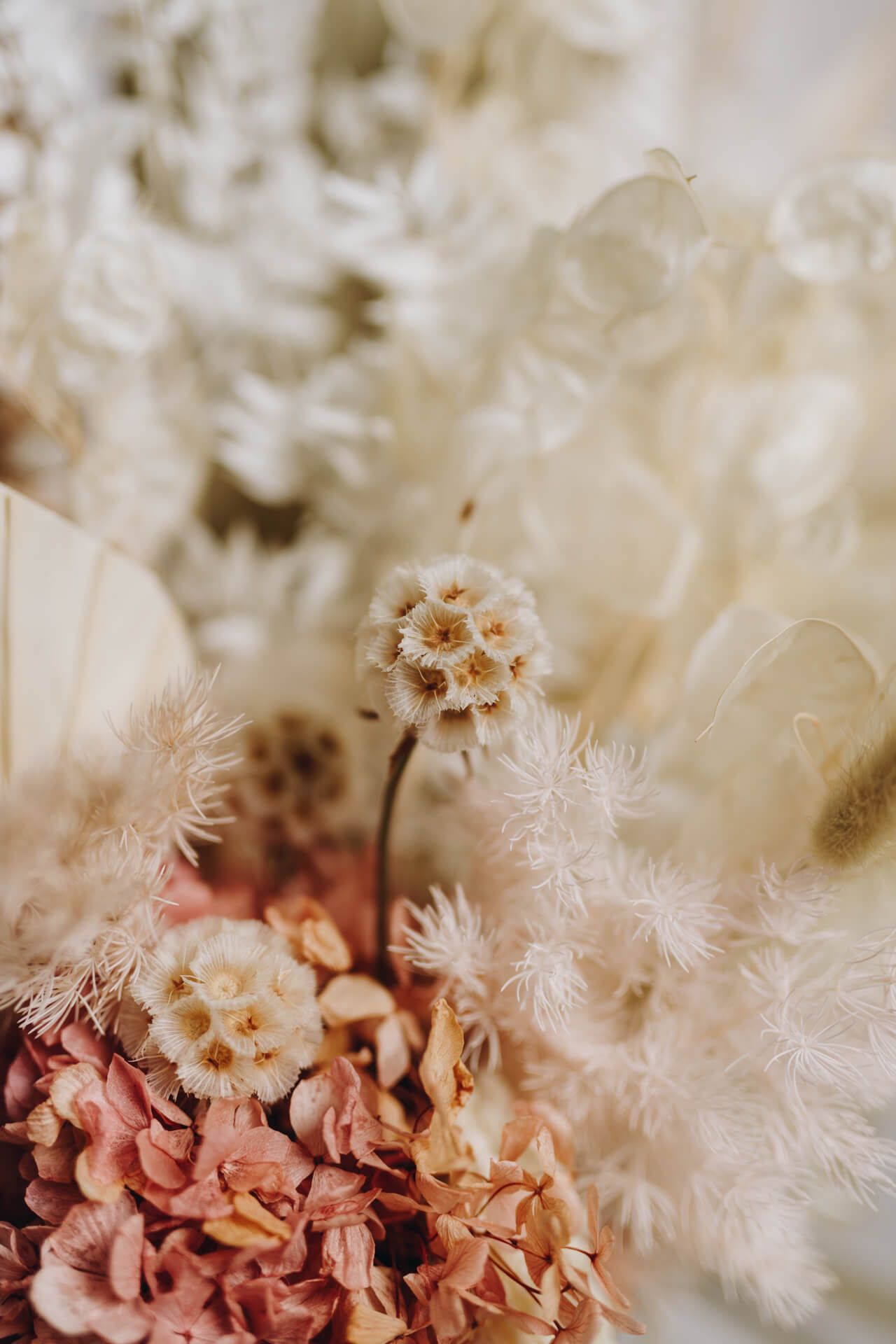 Florist in Wollongong | Ruby Oak Floristry