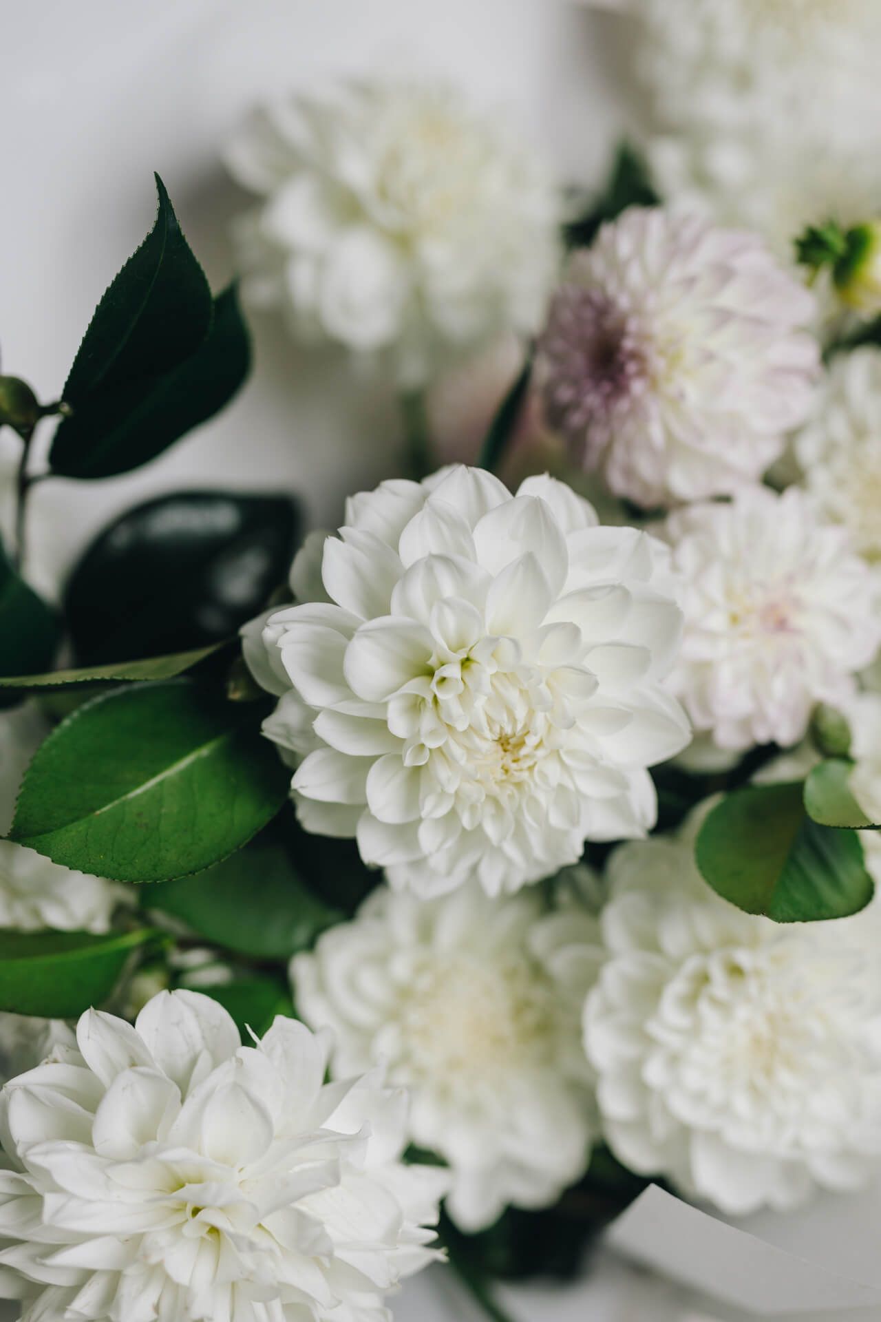 Florist in Wollongong | Ruby Oak Floristry