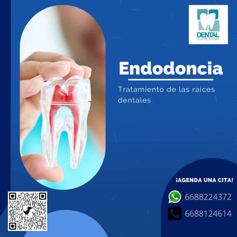 Consultorio dental en Los Mochis, Sinaloa – DENTAL EMPRESARIAL